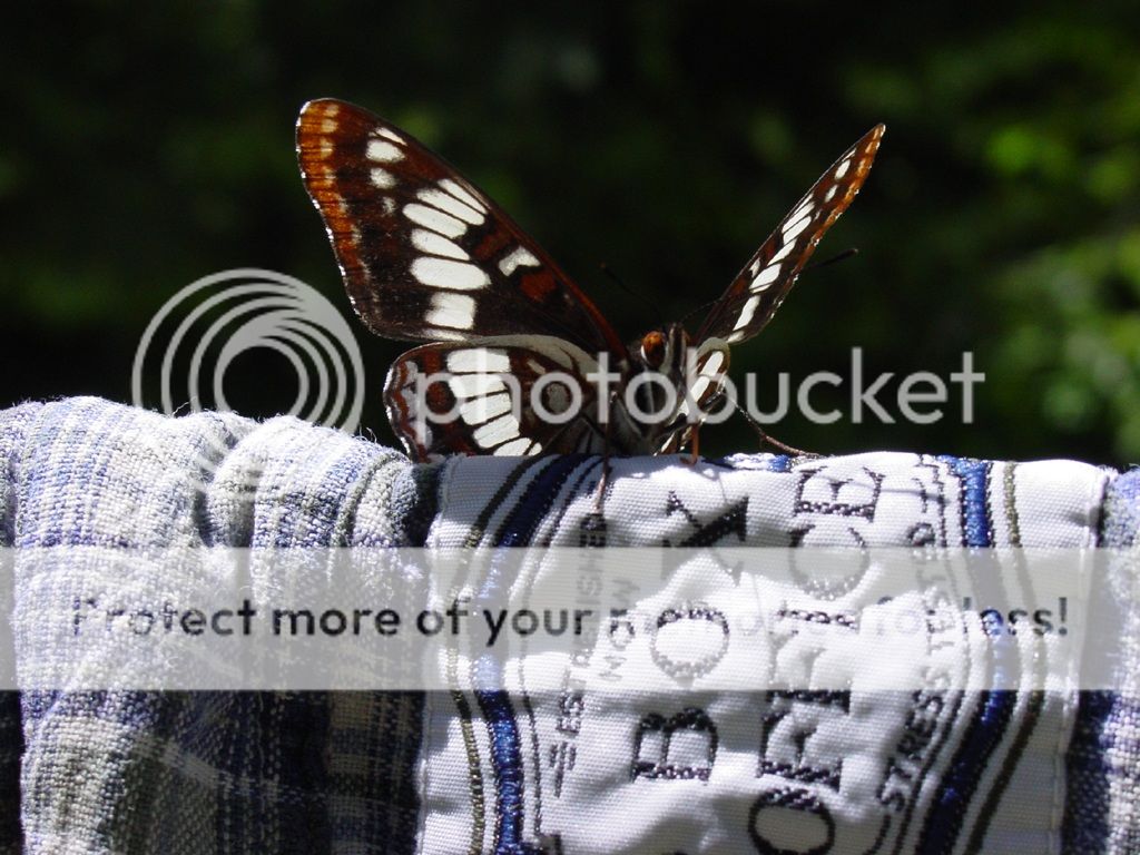 Stuart Hot Springs. - Soakers Forum