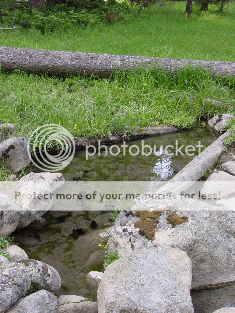 Blue Joint and Overwhich Creek HS - Soakers Forum