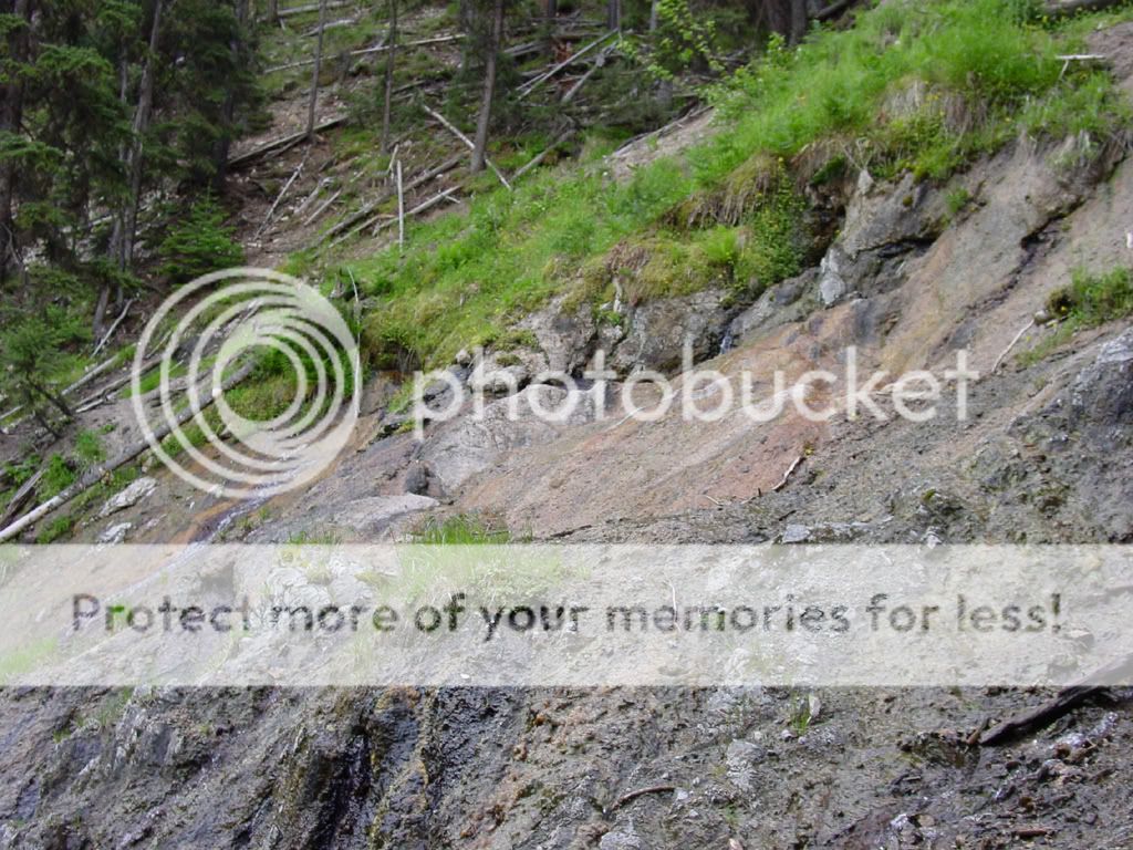 Blue Joint and Overwhich Creek HS - Soakers Forum