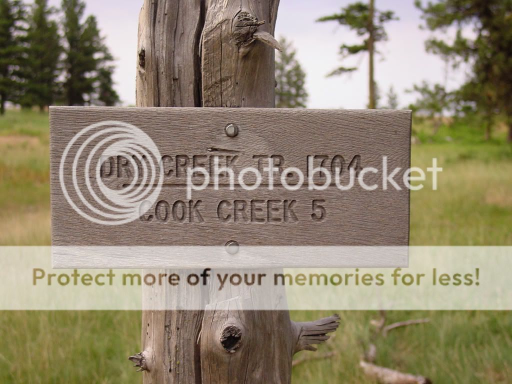 Cook Creek Hot Spring - Soakers Forum