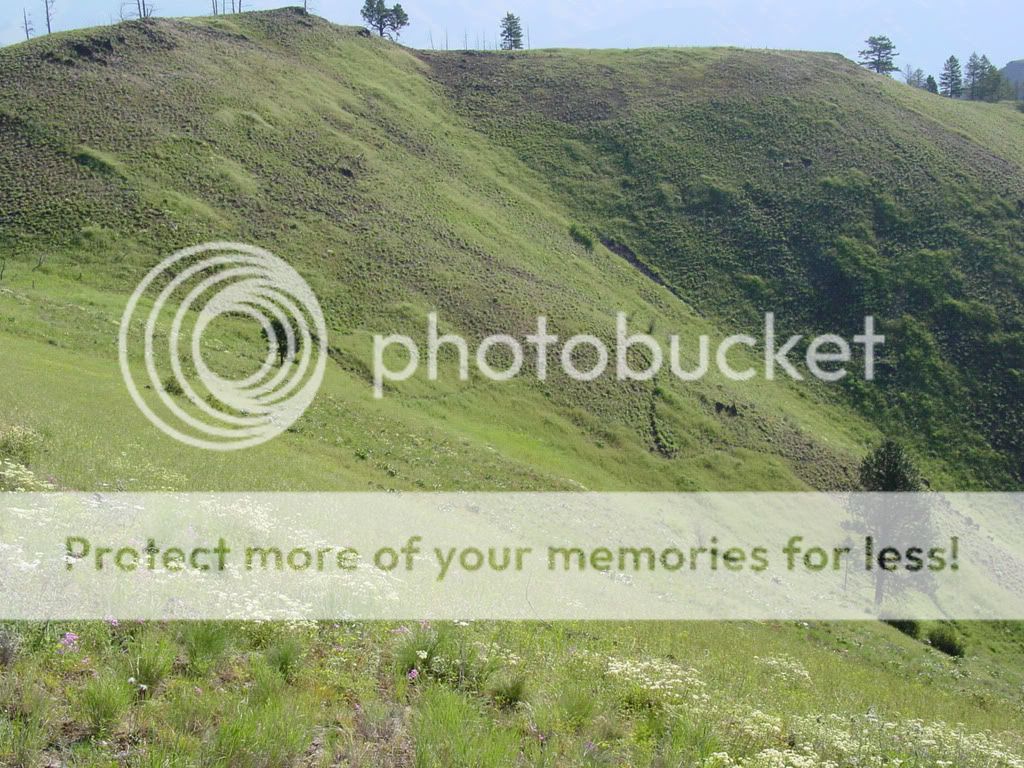 Cook Creek Hot Spring - Soakers Forum