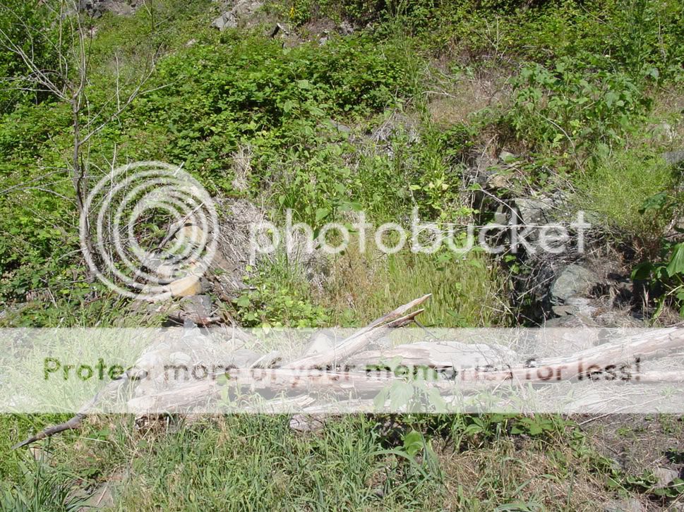 Cook Creek Hot Spring - Soakers Forum