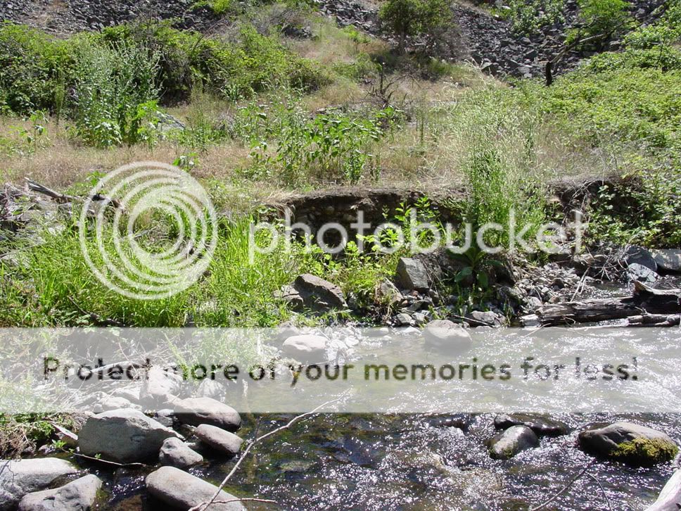 Cook Creek Hot Spring - Soakers Forum