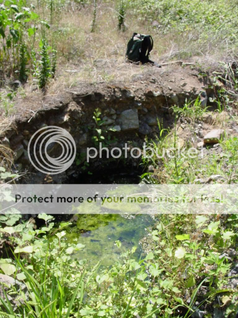 Cook Creek Hot Spring - Soakers Forum