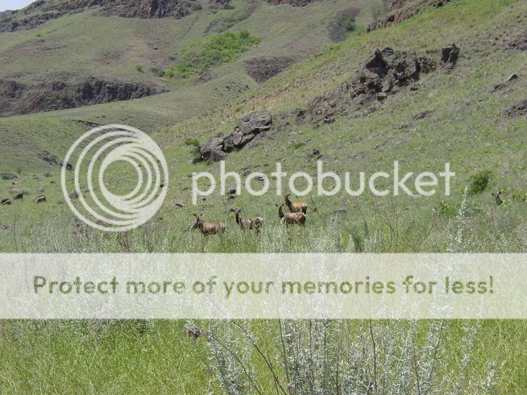 Cook Creek Hot Spring - Soakers Forum