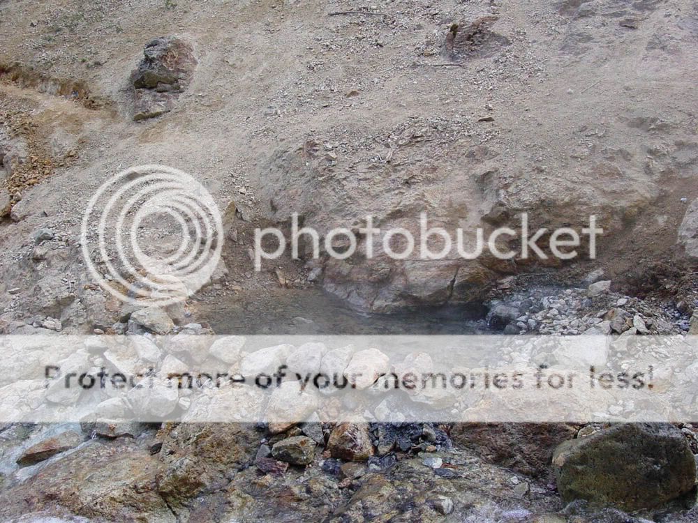 Gamma, Kennedy, and Sulphur HS. (1 of 4) - Soakers Forum