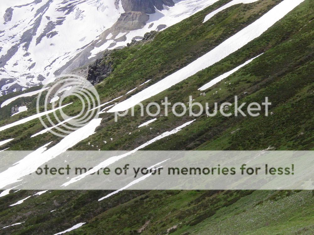 Gamma, Kennedy, and Sulphur HS. (1 of 4) - Soakers Forum