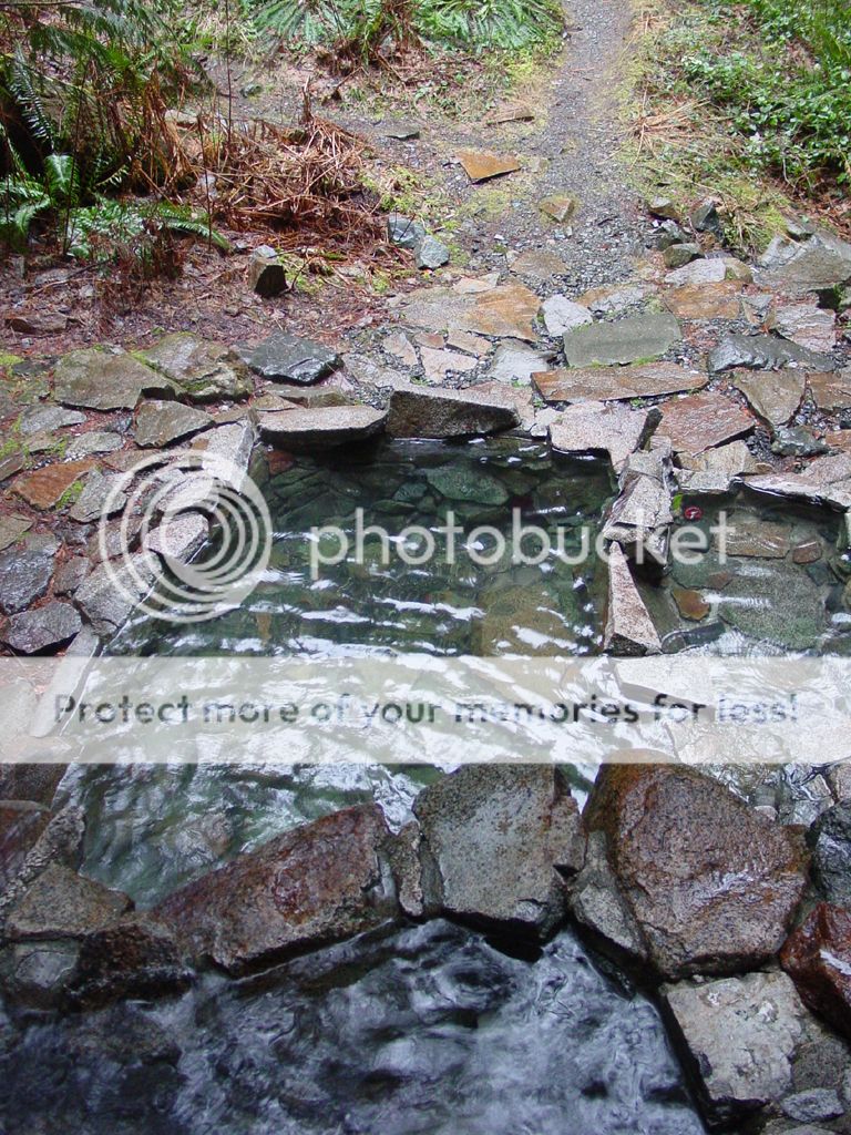 Goldmyer Hot Springs - Page 2 - Soakers Forum