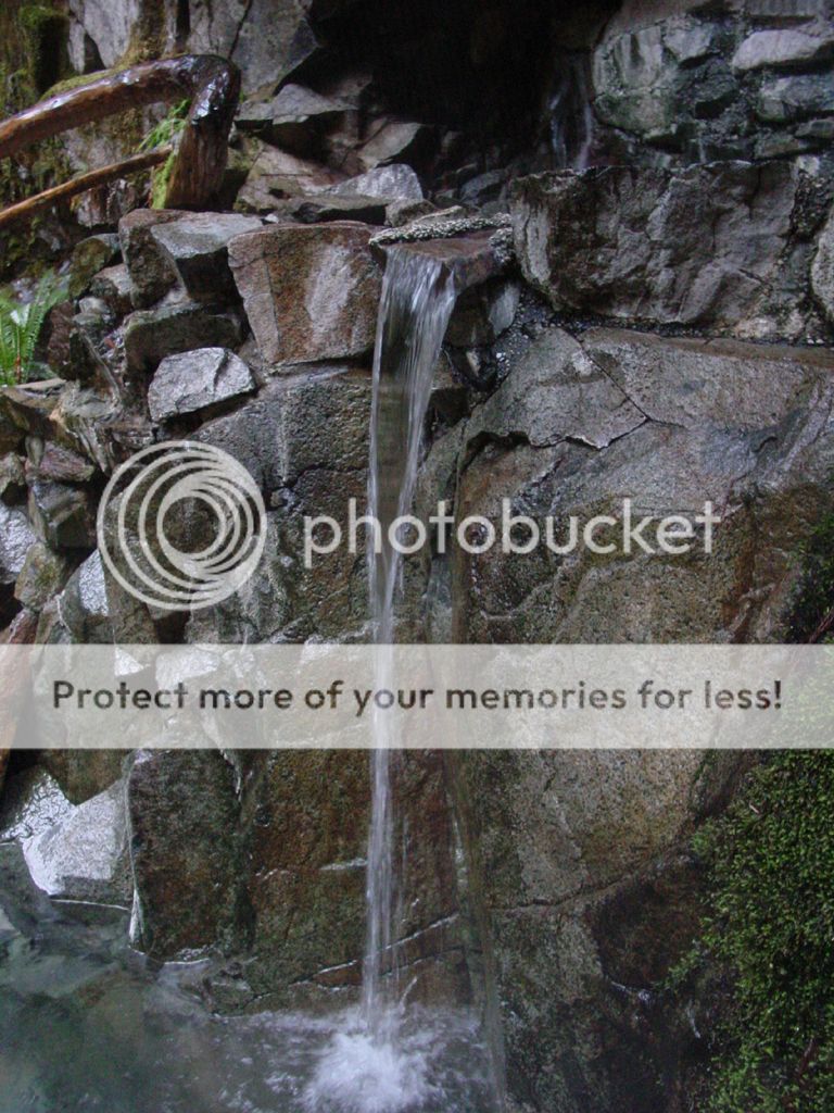 Goldmyer Hot Springs - Page 2 - Soakers Forum