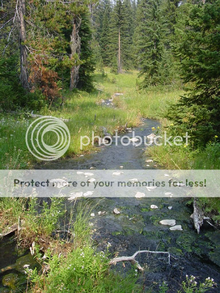 Crawfish Creek Hot Springs - Soakers Forum