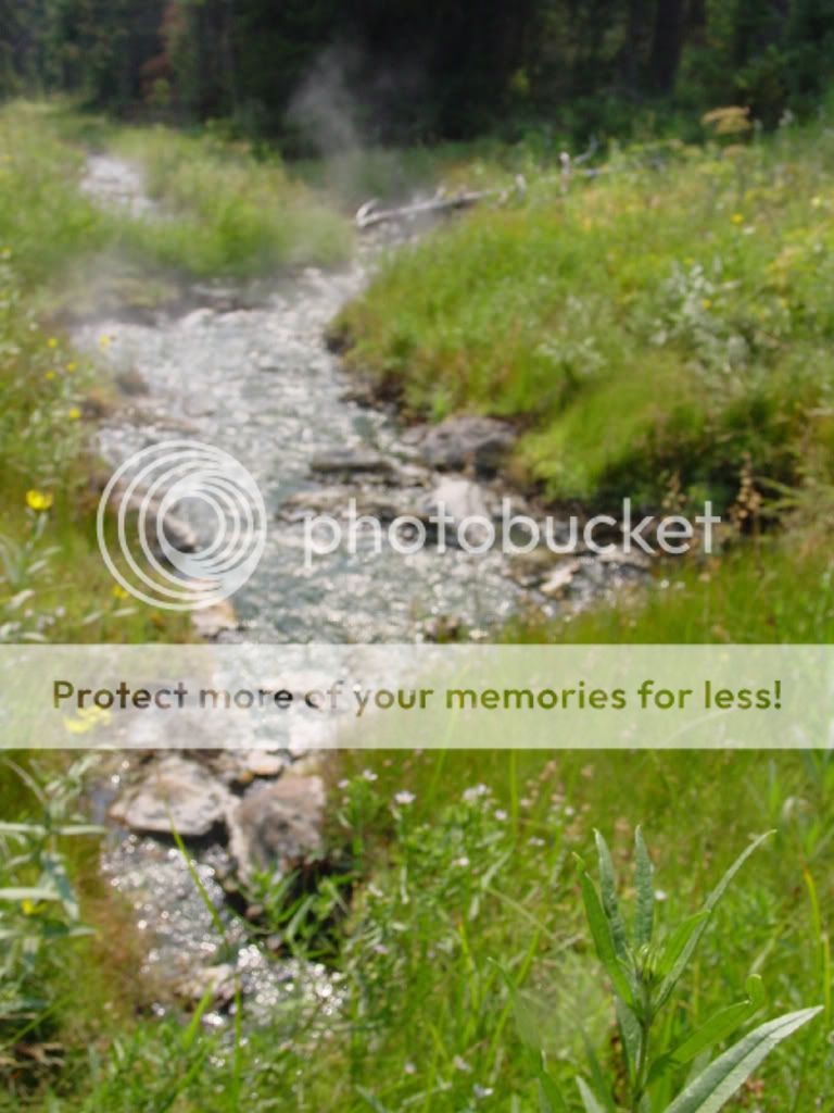 Crawfish Creek Hot Springs - Soakers Forum