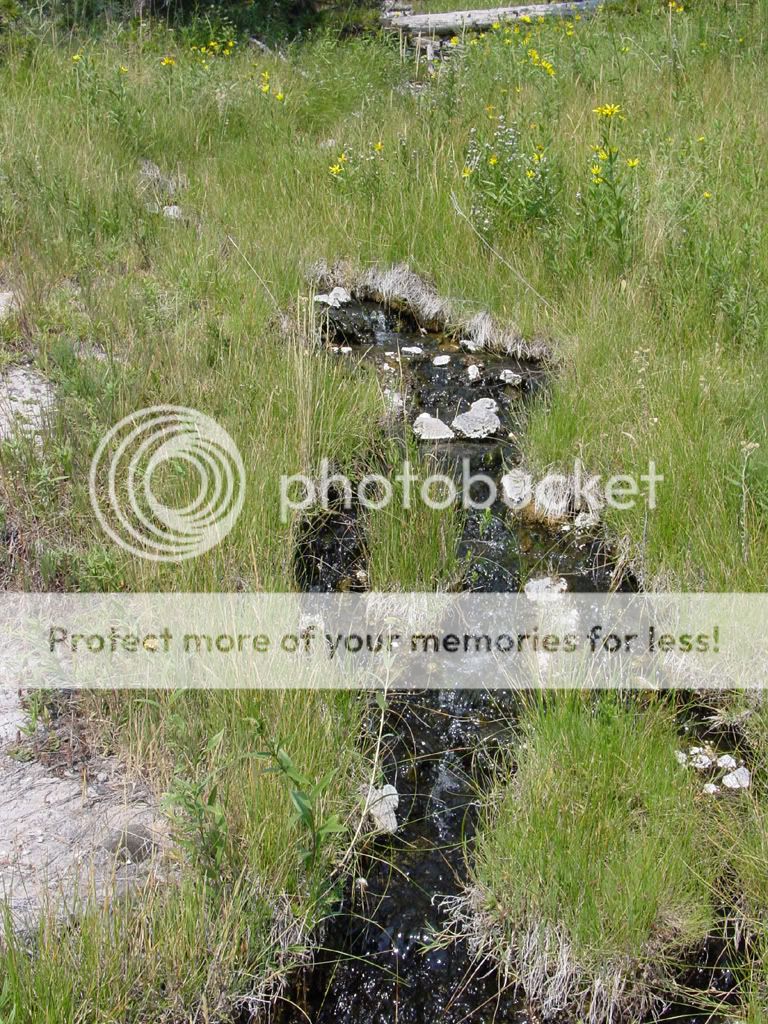 Crawfish Creek Hot Springs - Soakers Forum