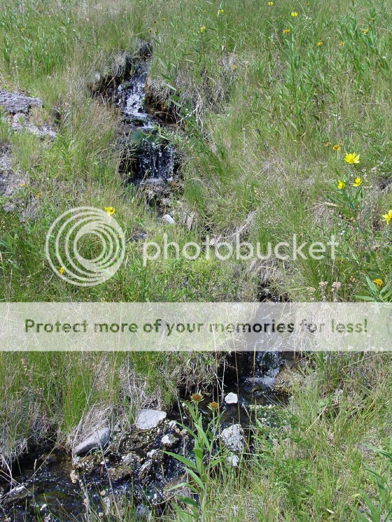 Crawfish Creek Hot Springs - Soakers Forum