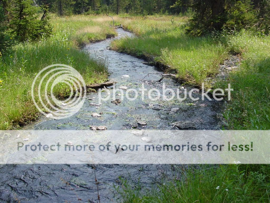 Crawfish Creek Hot Springs - Soakers Forum