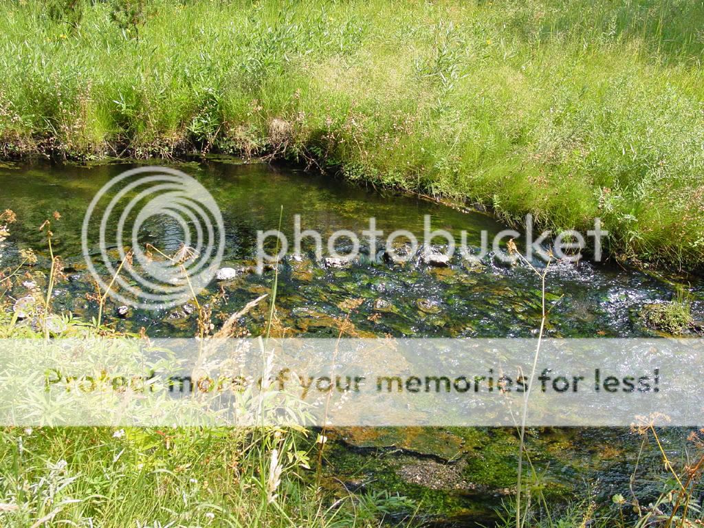 Crawfish Creek Hot Springs - Soakers Forum