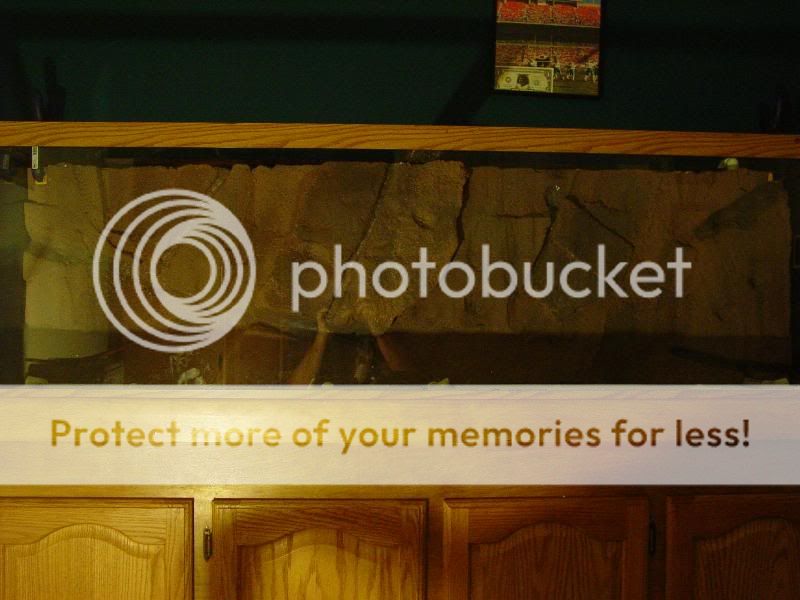 Figure I'll post up my DIY background | Cichlid Fish Forum
