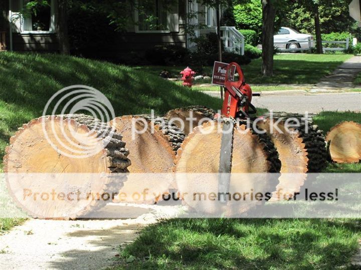 Best way to get wedges unstuck | Arborist, Chainsaw & Tree Work Forum