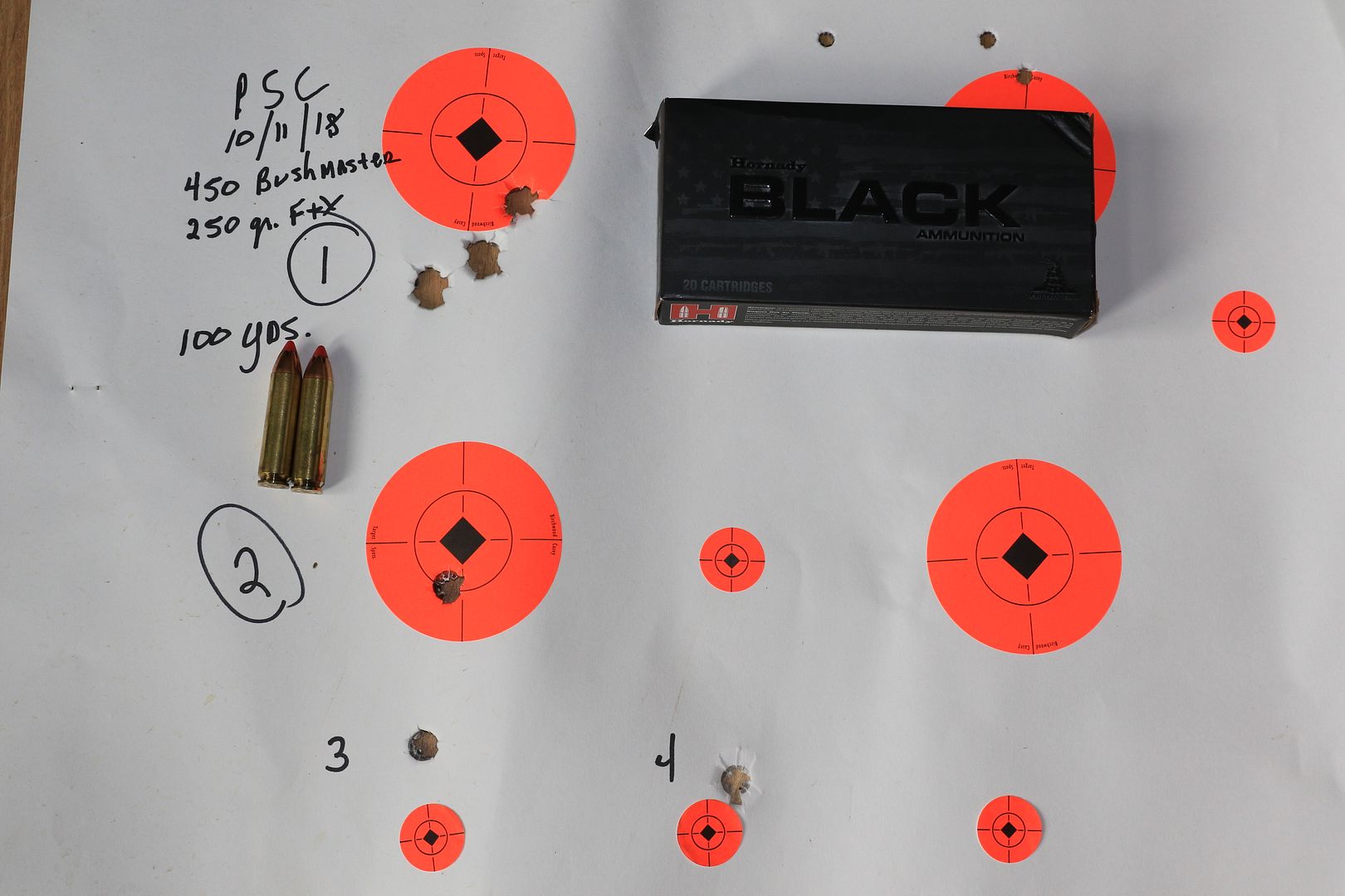 My Non-Tacti-Cool .450 Bushmaster - 24hourcampfire