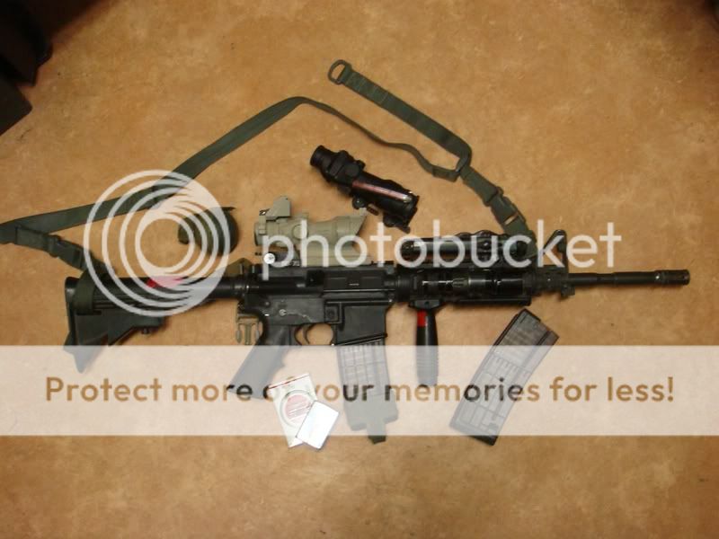 Help me decide between a TA01NSN and TA39-2 ACOG. > Optics, Mounts, and ...