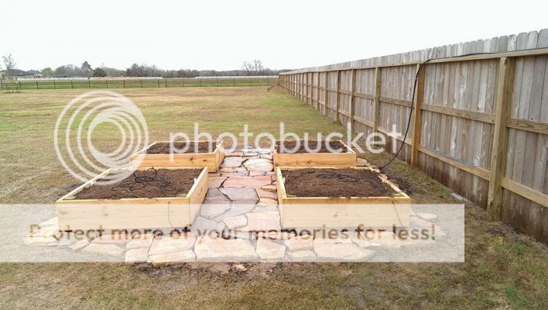 My first raised bed garden | TexAgs