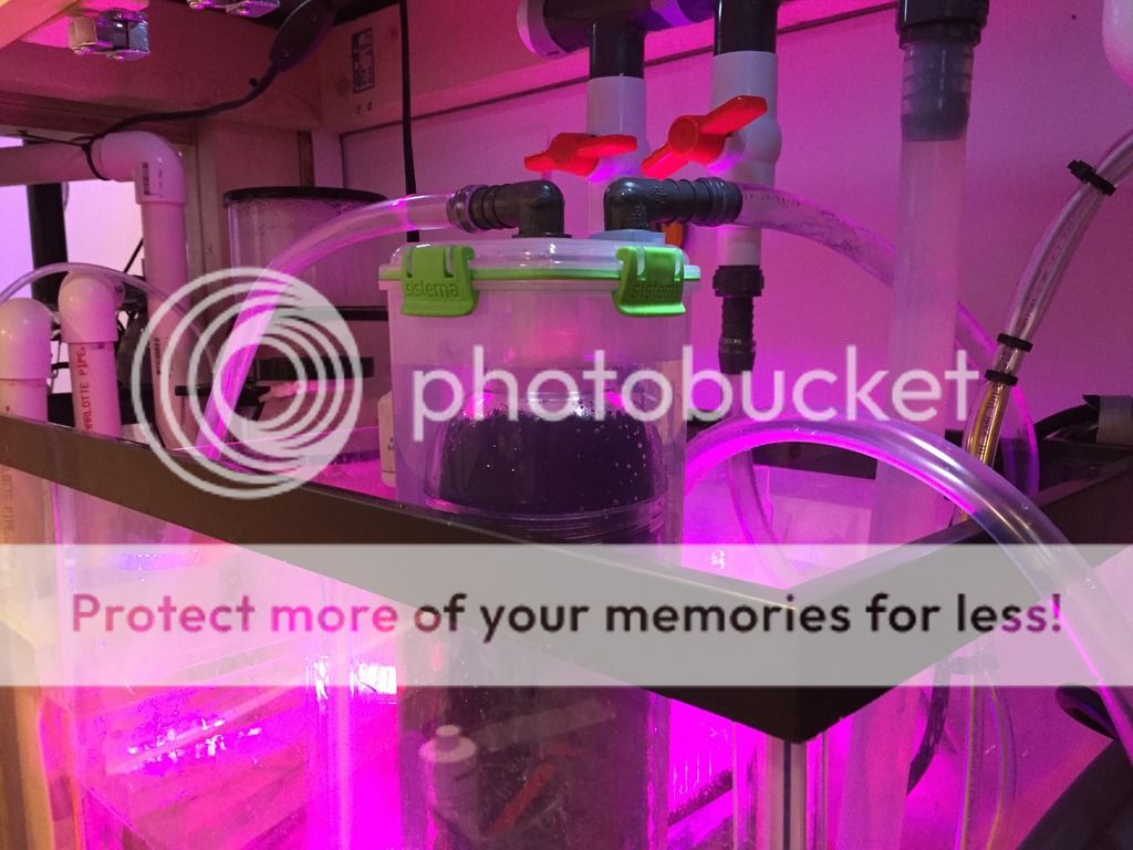 Easy Carbon/GFO reactor | Reef2Reef