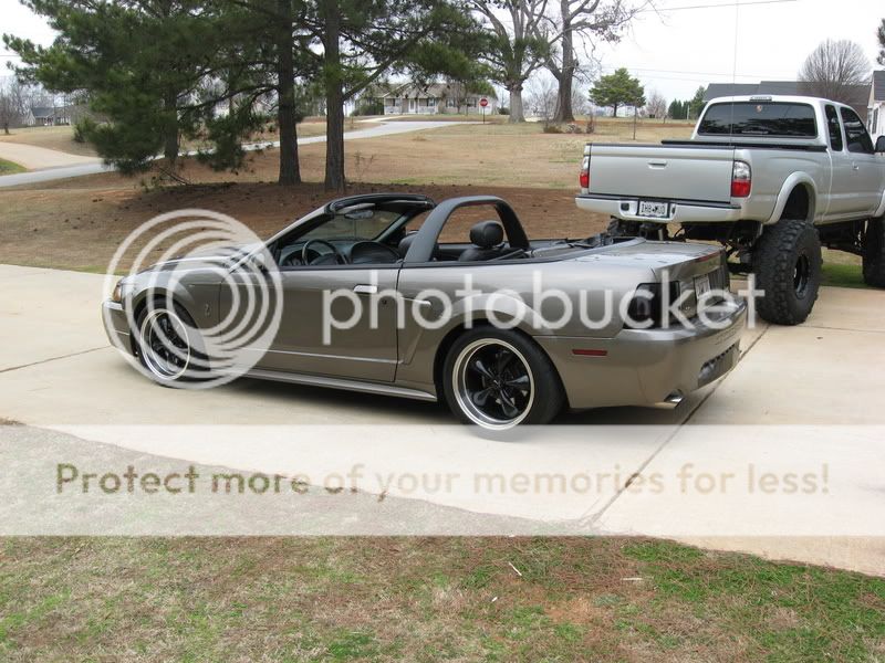 Cobra R Wing | Page 2 | Modded Mustang Forums