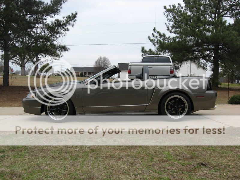 Cobra R Wing | Page 2 | Modded Mustang Forums