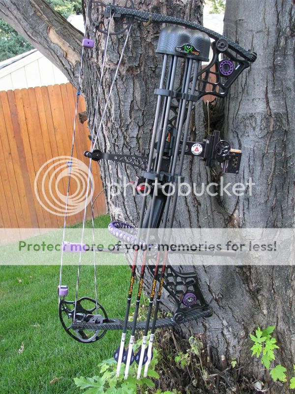 Pics of Mathews with custom dampeners and string stops | Page 2 ...